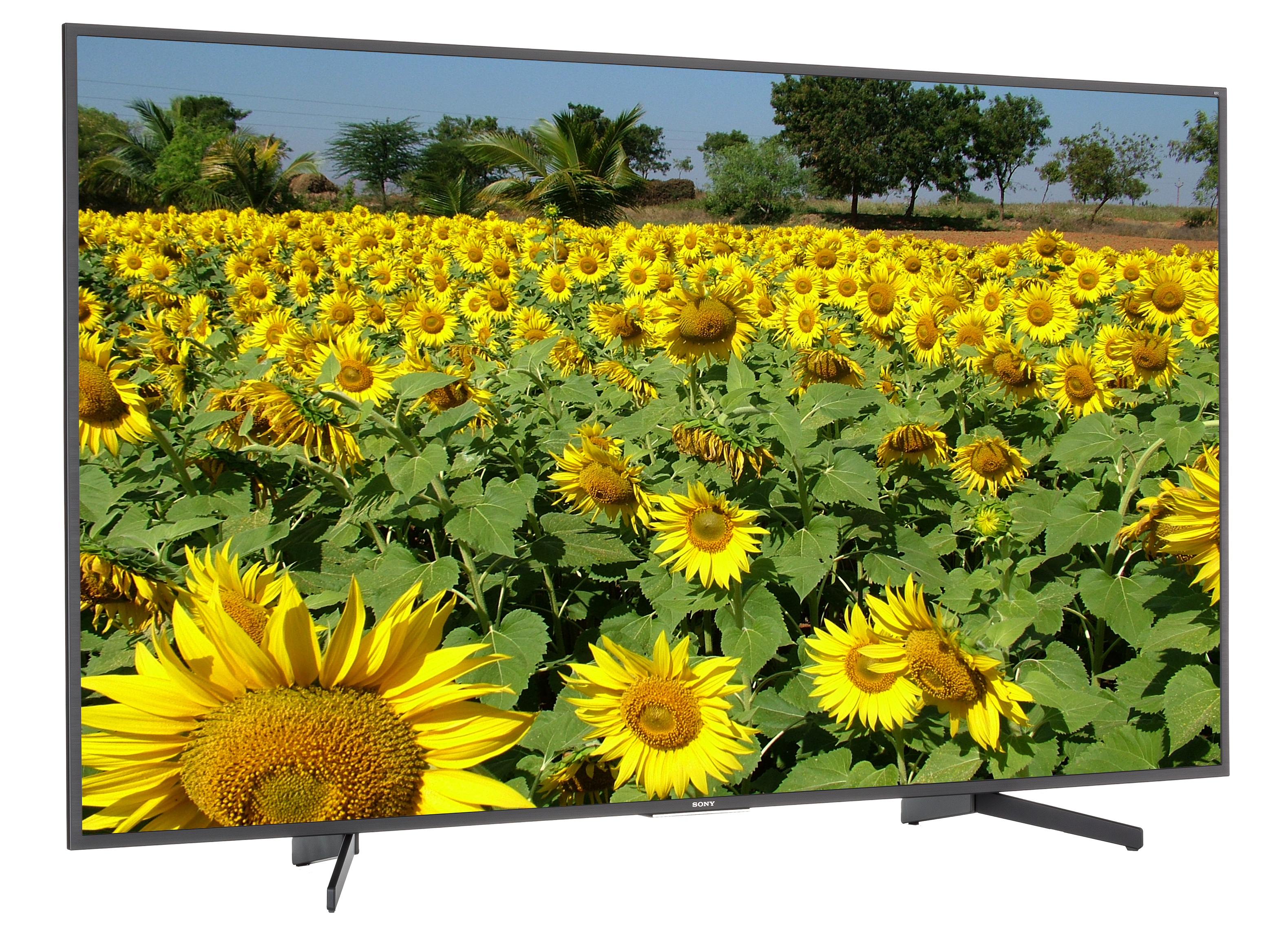 399544-60-inch-and-larger-tvs- 399544-60-inch-and-larger-tvs-